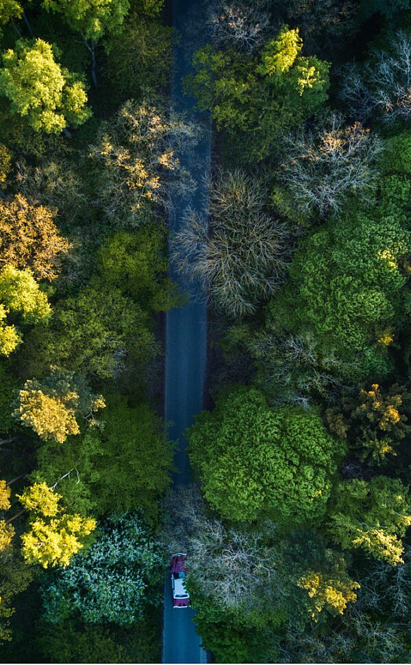 Book Ben Crowe for your Event | Saxton Speakers